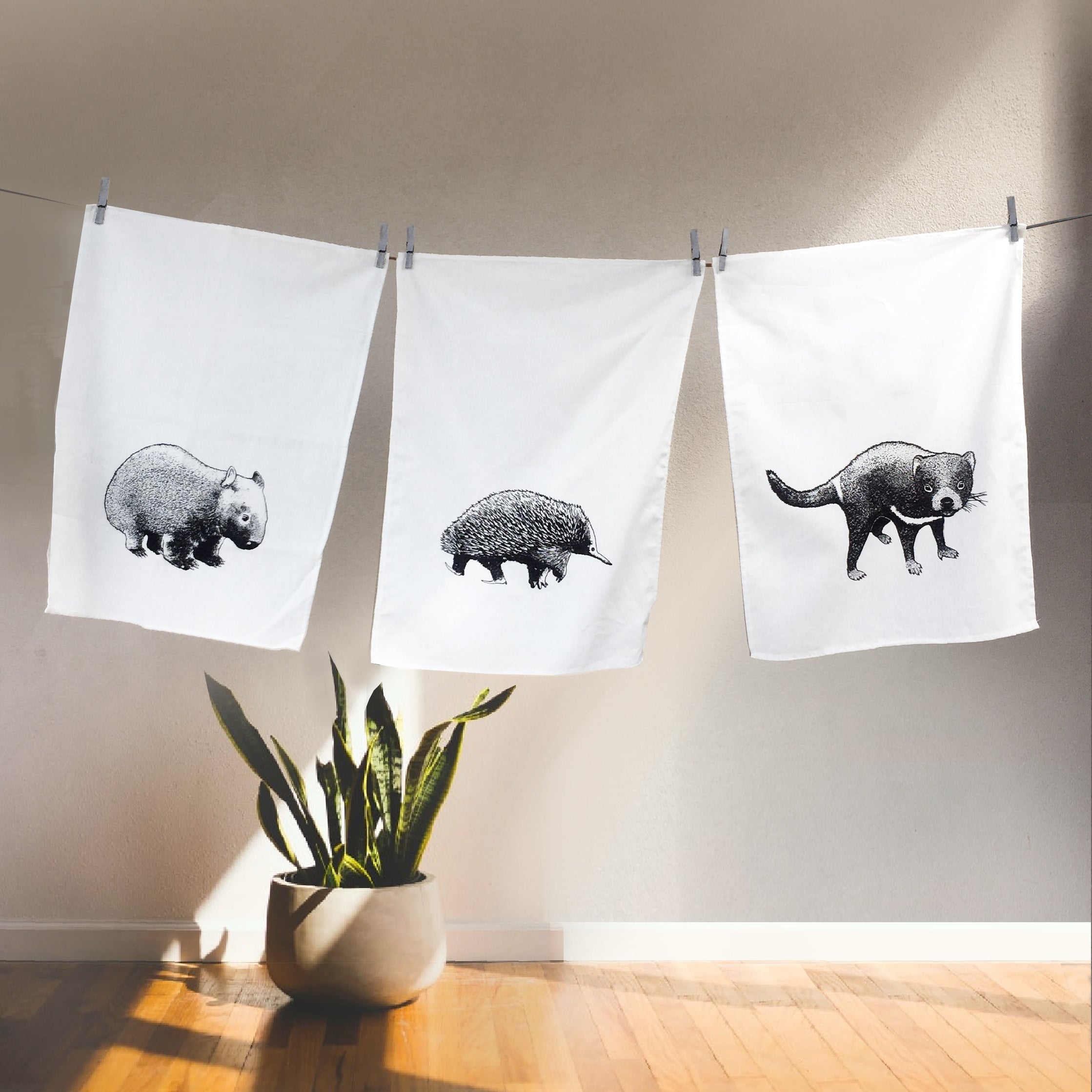 Organic cotton tea towels – Stalley